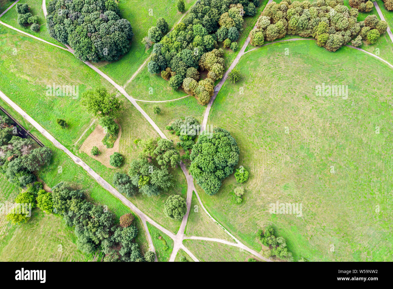 aerial top view of summer park landscape with green trees, lawns and ...