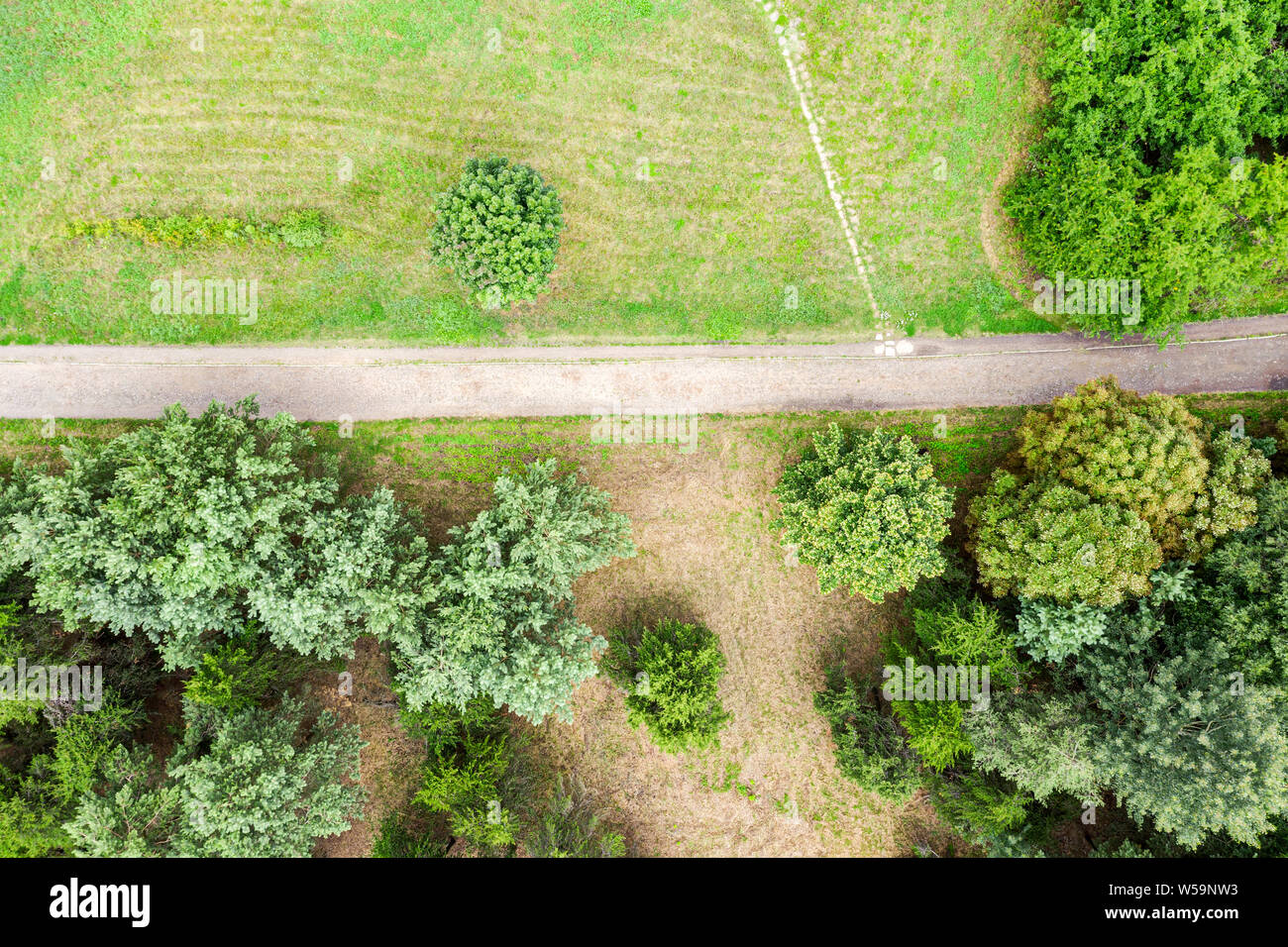 aerial top view of city park landscape with green summer trees and lawn ...