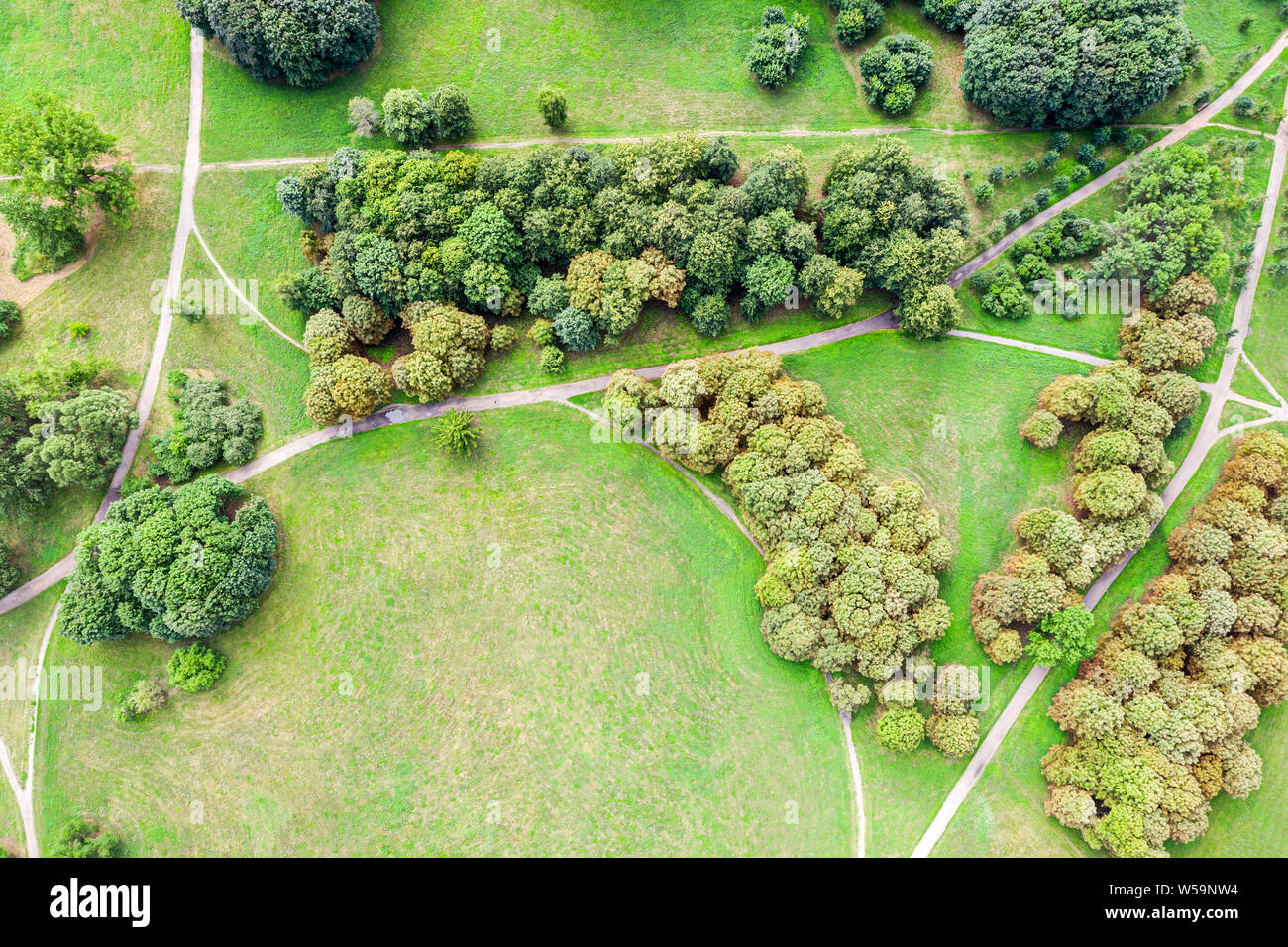 summer landscape, aerial view. park with green fresh trees and lawn ...