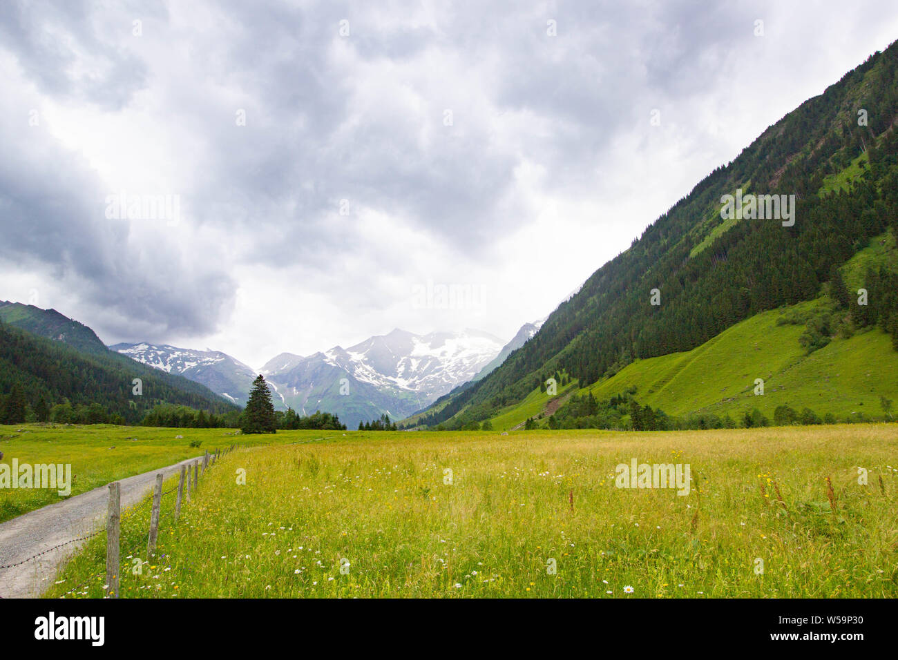 Pasture in Alps near high Alpine road Stock Photo - Alamy