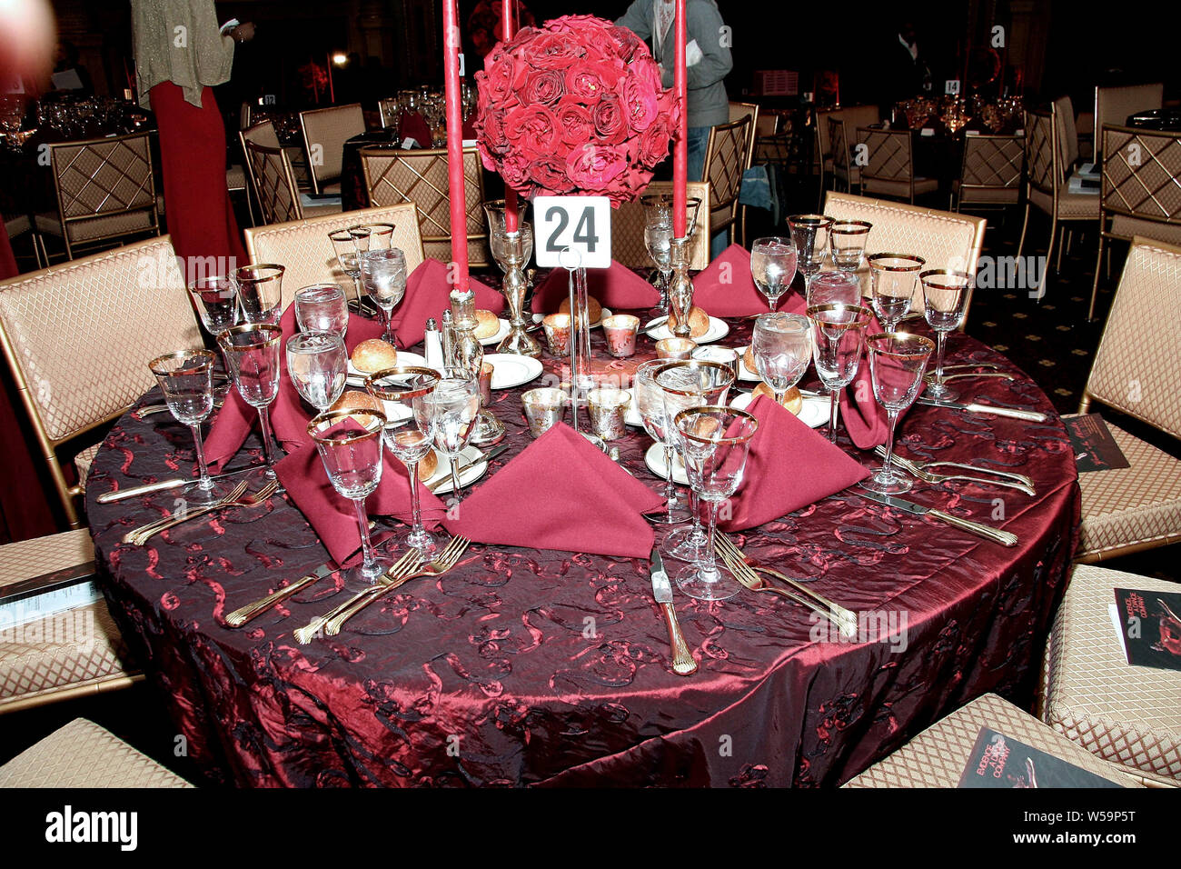 New York, USA. 11 February, 2008. Atmosphere at the Red Ball: Evidence ...