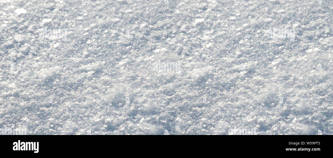 banner for website. Winter snow. Snow texture Top view of the snow ...