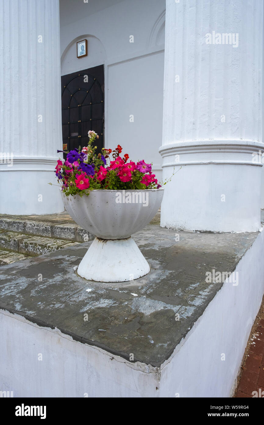Large white stone vase with red flowers at the white columns of an old ...