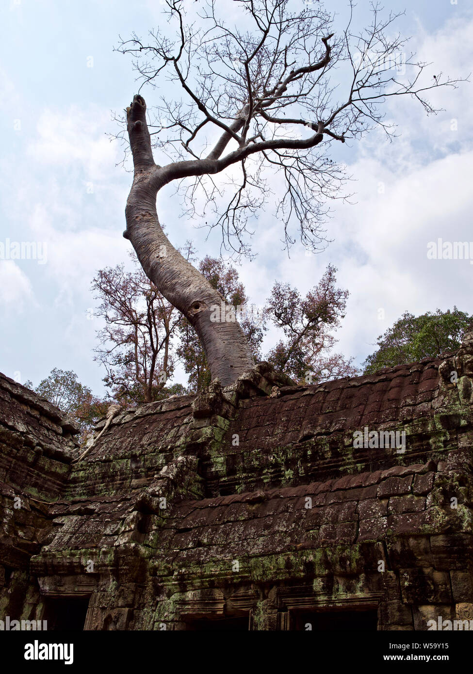 Architecture of ancient temple complex Angkor, Siem Reap, Cambodia ...