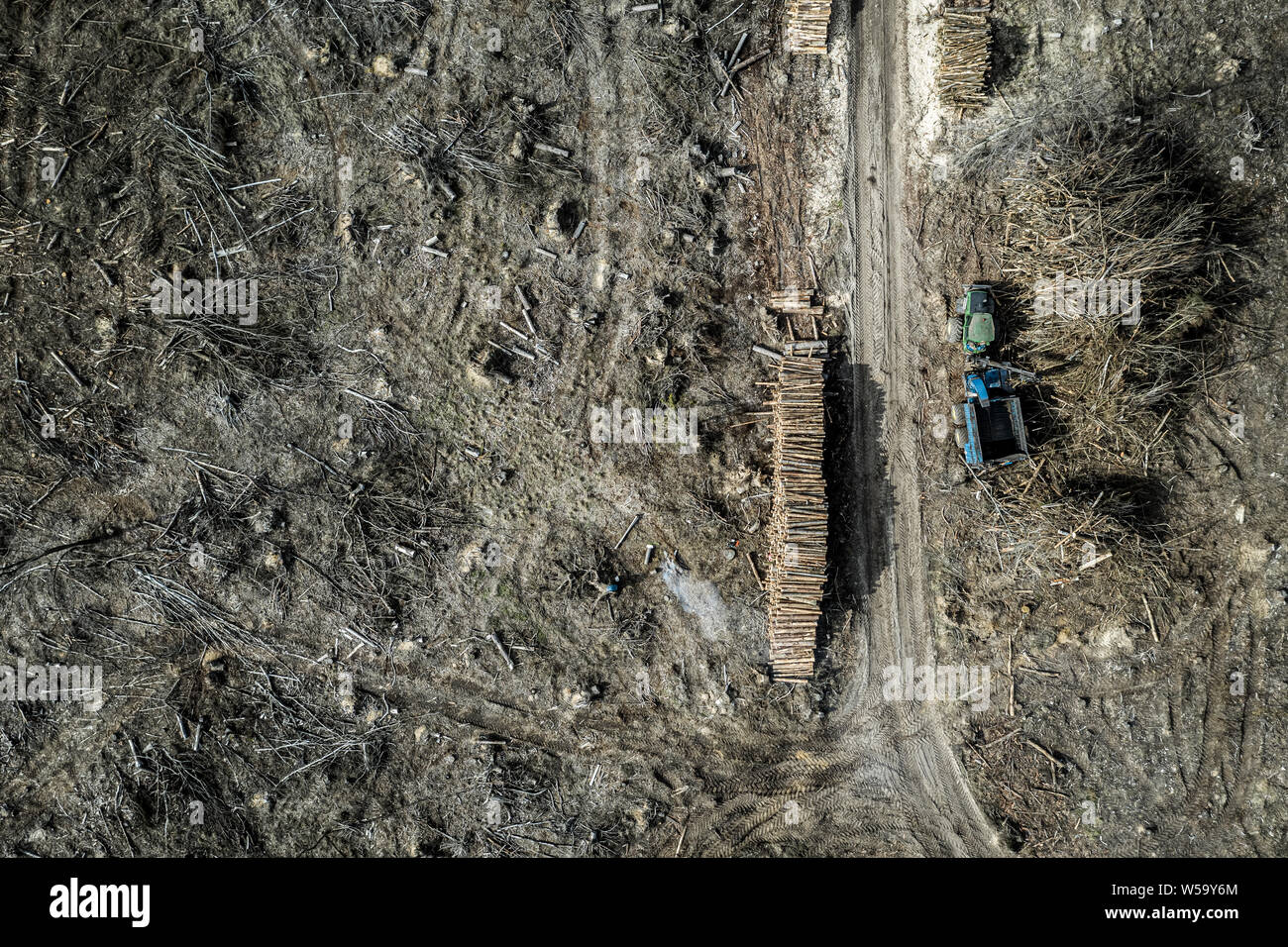 View from above terrible deforestation. harvesting a forest, Europe ...