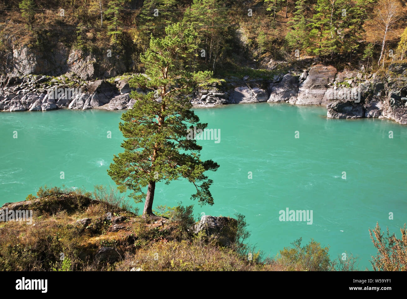 Katun river near chemal village hi-res stock photography and images - Alamy
