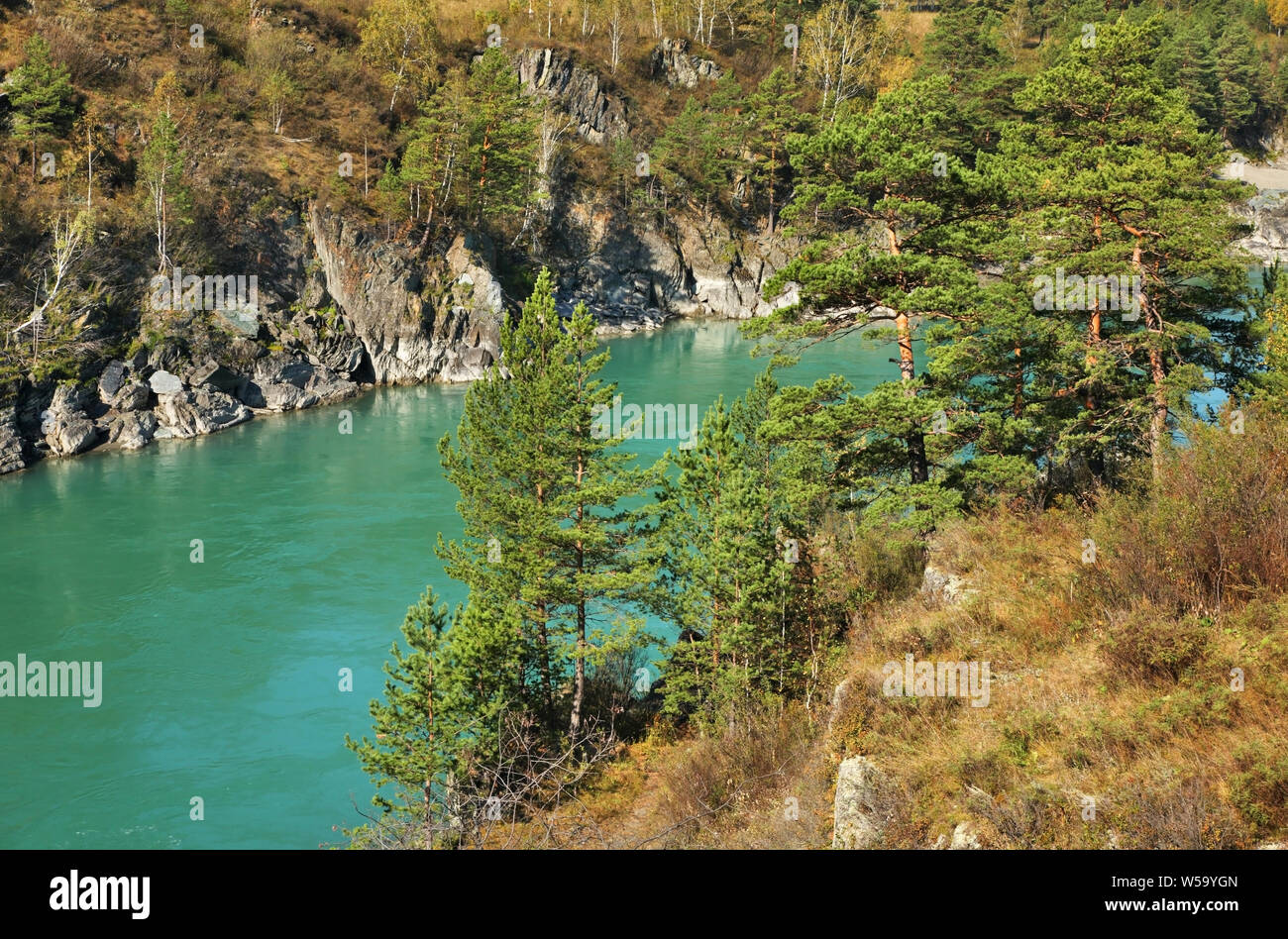 Katun river near chemal village hi-res stock photography and images - Alamy