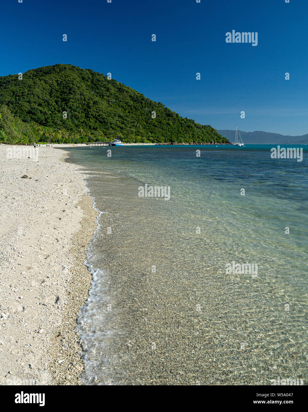 Fitzroy island, a popular tourist destination with rainforest, clear ...