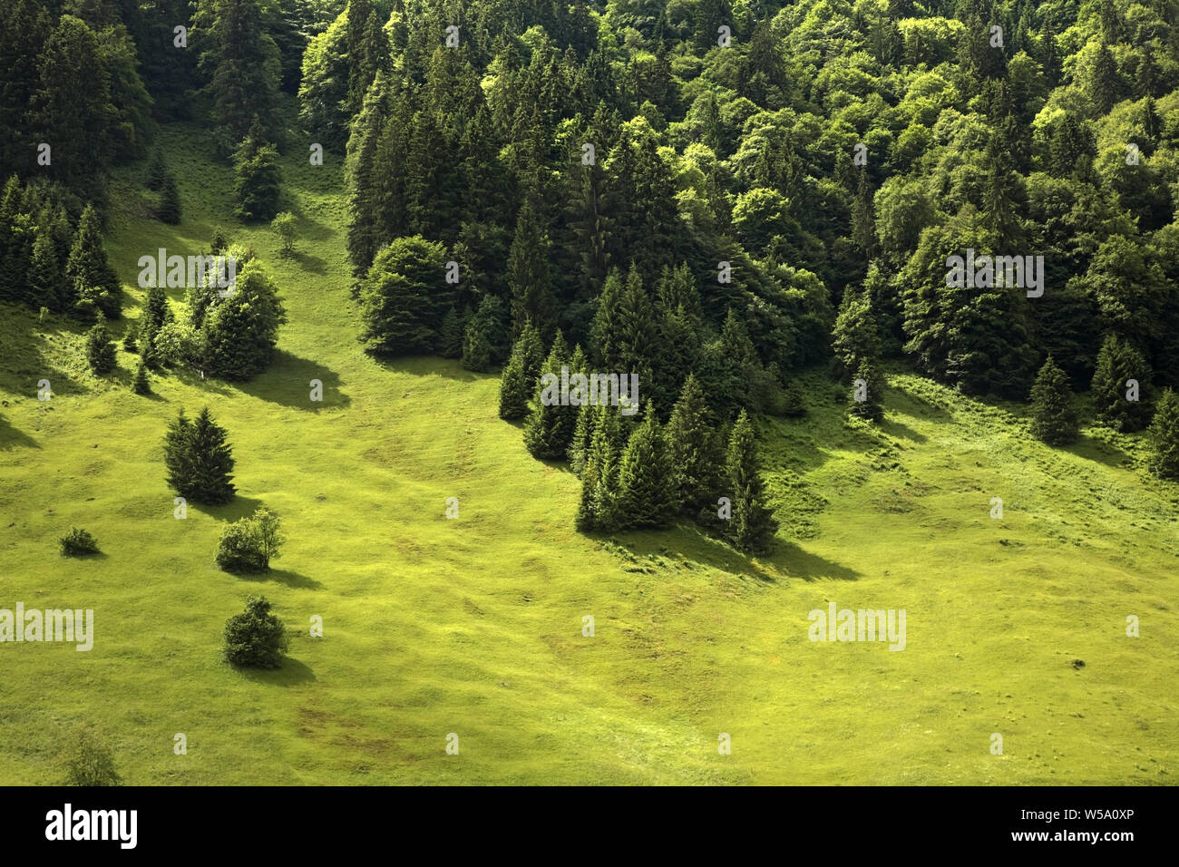 Landscape in canton of Obwalden. Switzerland Stock Photo - Alamy