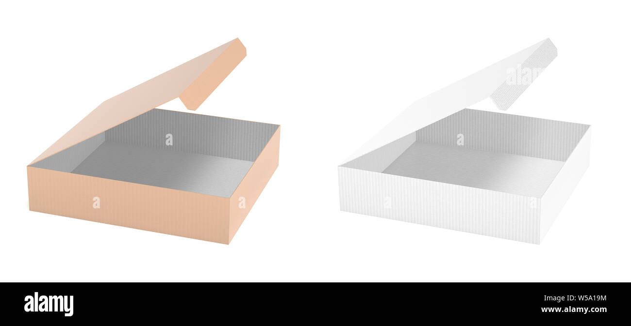 Flat paper box. Set of open cartons. 3d rendering illustration isolated ...