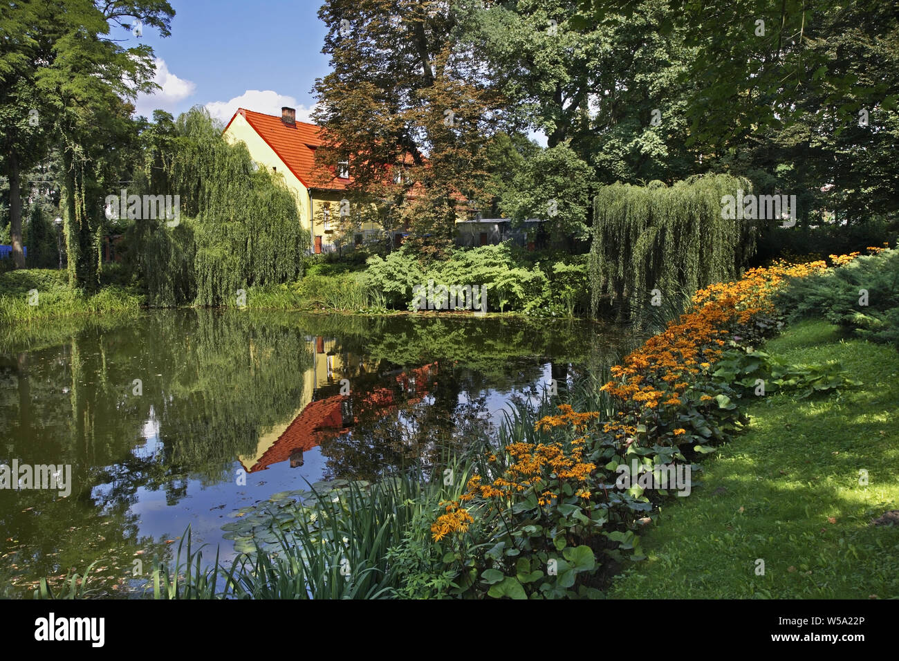 Park of New palace at Ostromecko. Poland Stock Photo - Alamy