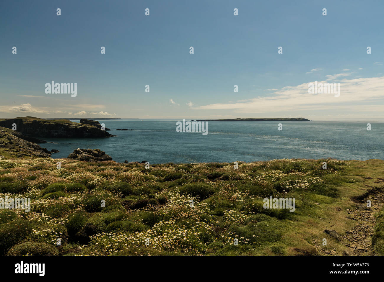 Welsh scene hi-res stock photography and images - Alamy