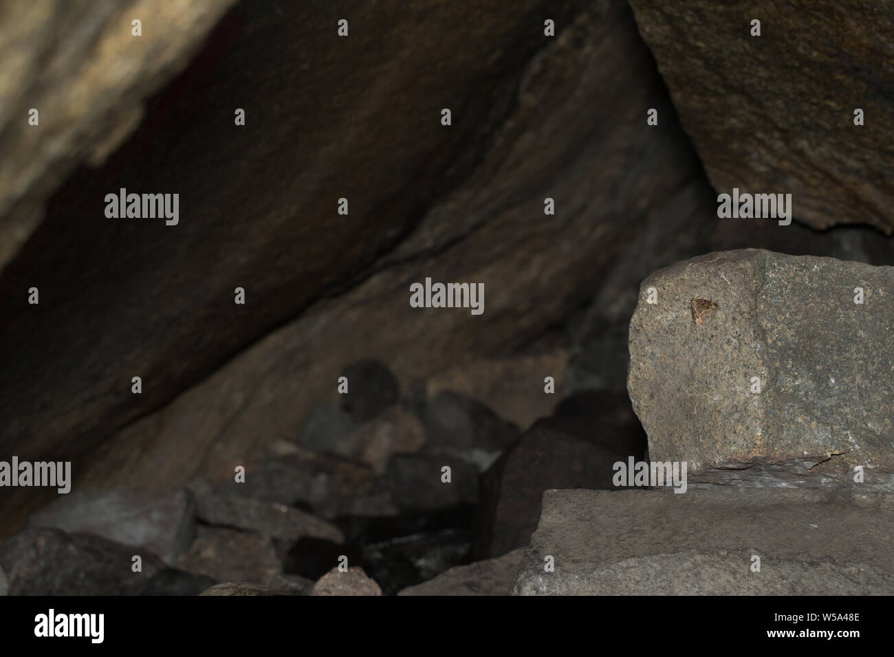 Moth in a cave hi-res stock photography and images - Alamy