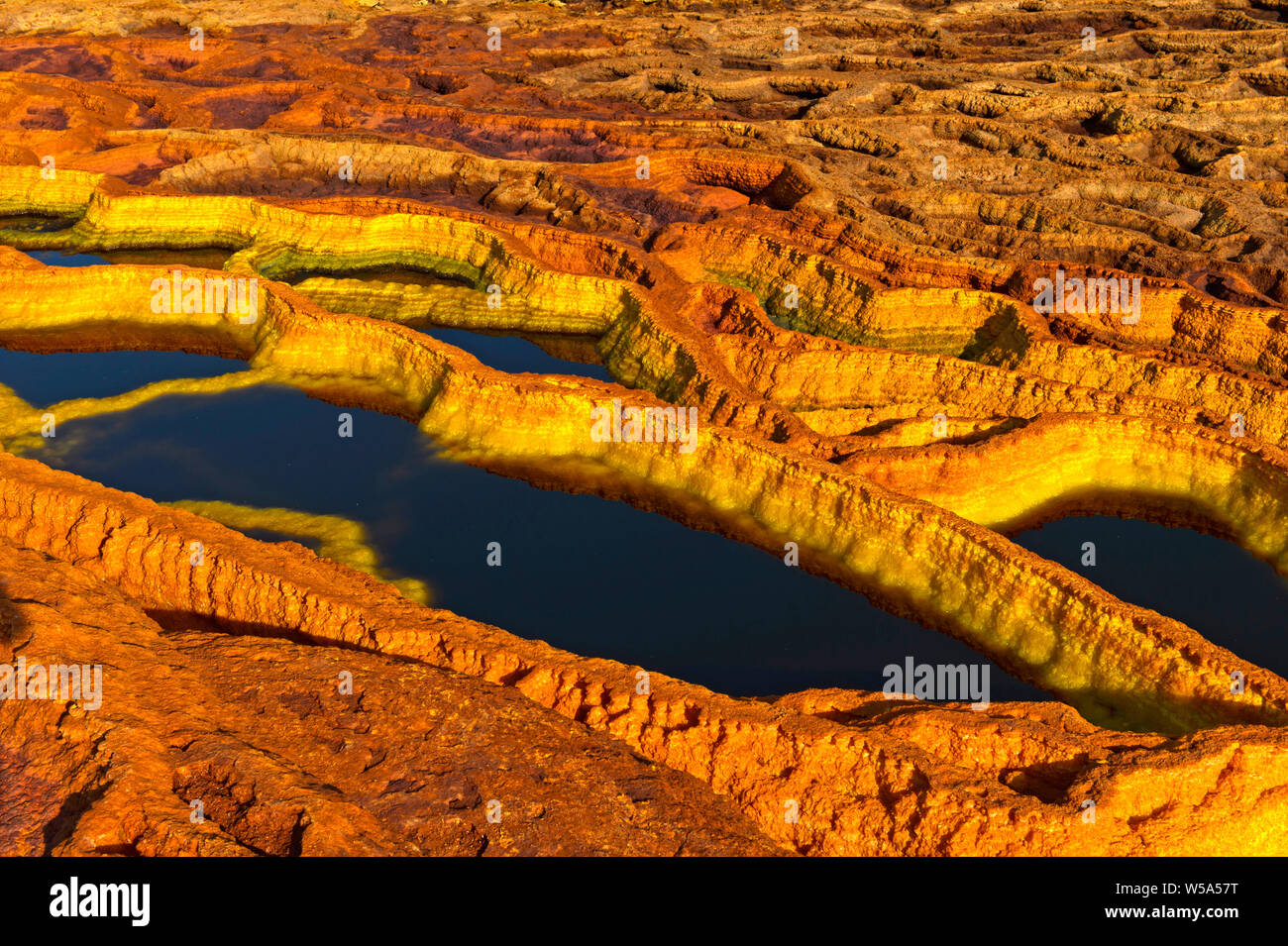 Rust-colored salt structures in an acid brine pool, geothermal field of ...