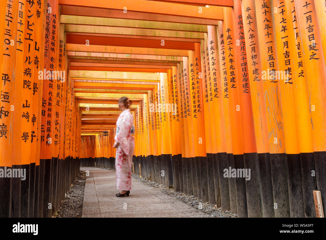 A young woman stands amongst the torii gates at the Fushimi Inari ...