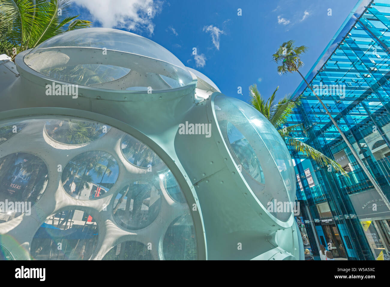 FLY EYE DOME (©BUCKMINSTER FULLER INST 2014) PALM COURT (©SB ARCHITECTS ...