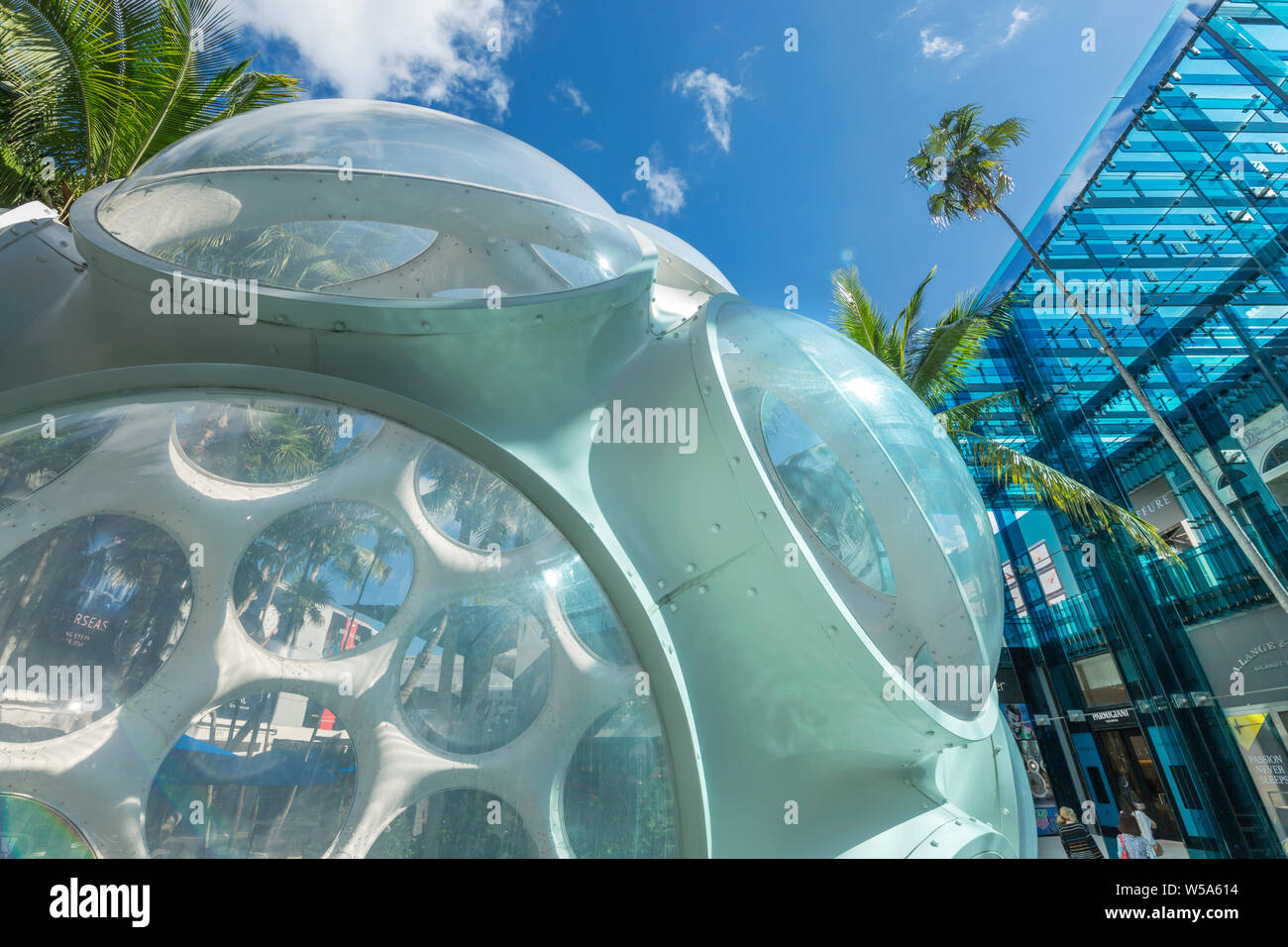 FLY EYE DOME (©BUCKMINSTER FULLER INST 2014) PALM COURT (©SB ARCHITECTS ...