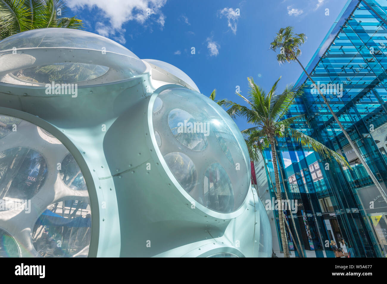 FLY EYE DOME (©BUCKMINSTER FULLER INST 2014) PALM COURT (©SB ARCHITECTS ...