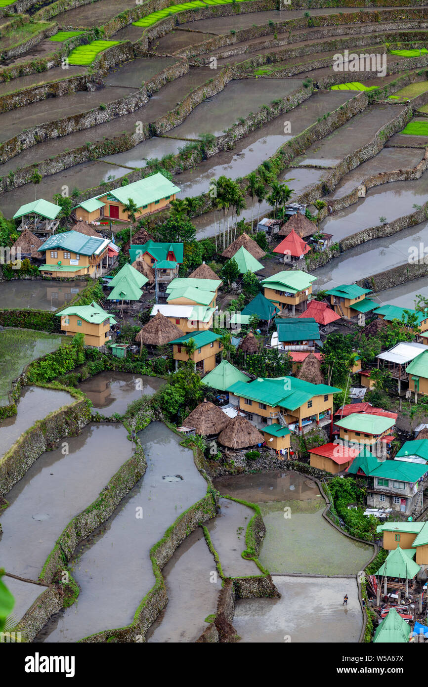 A View Of The Village Of Batad and Surrounding Rice Terraces, Banaue ...