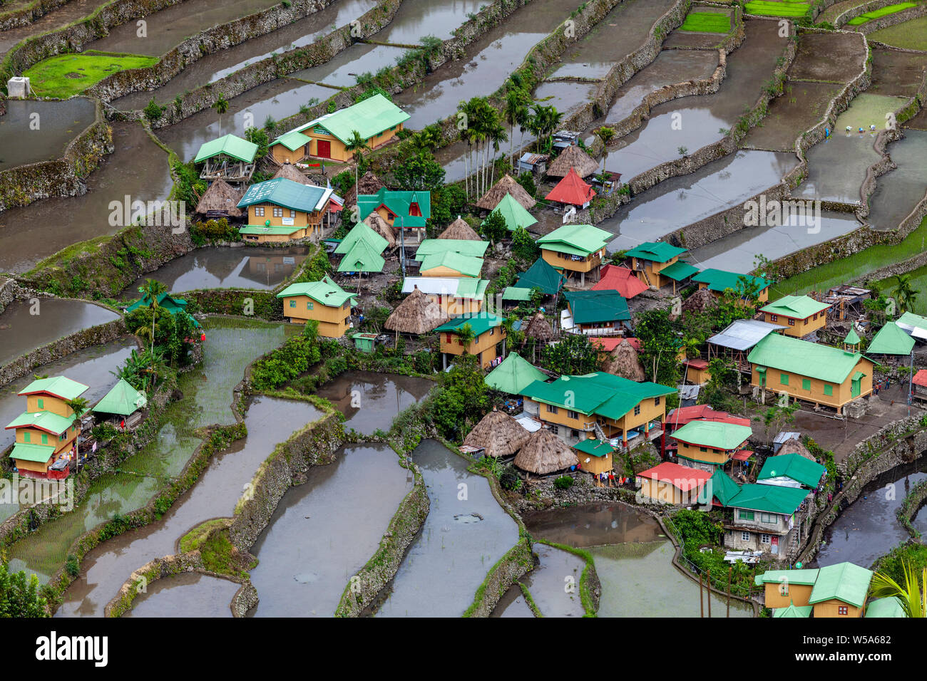 A View Of The Village Of Batad and Surrounding Rice Terraces, Banaue ...