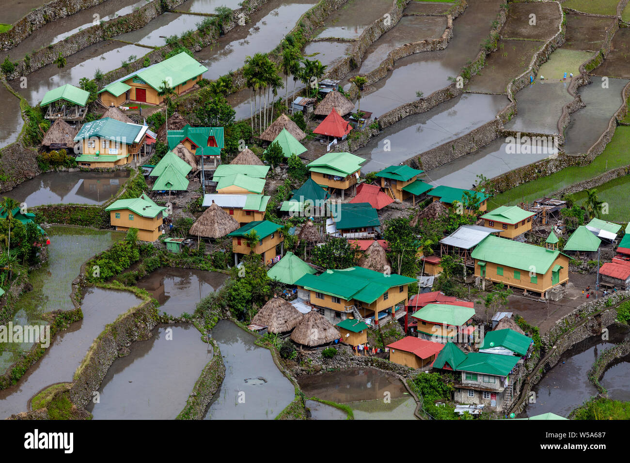 A View Of The Village Of Batad and Surrounding Rice Terraces, Banaue ...