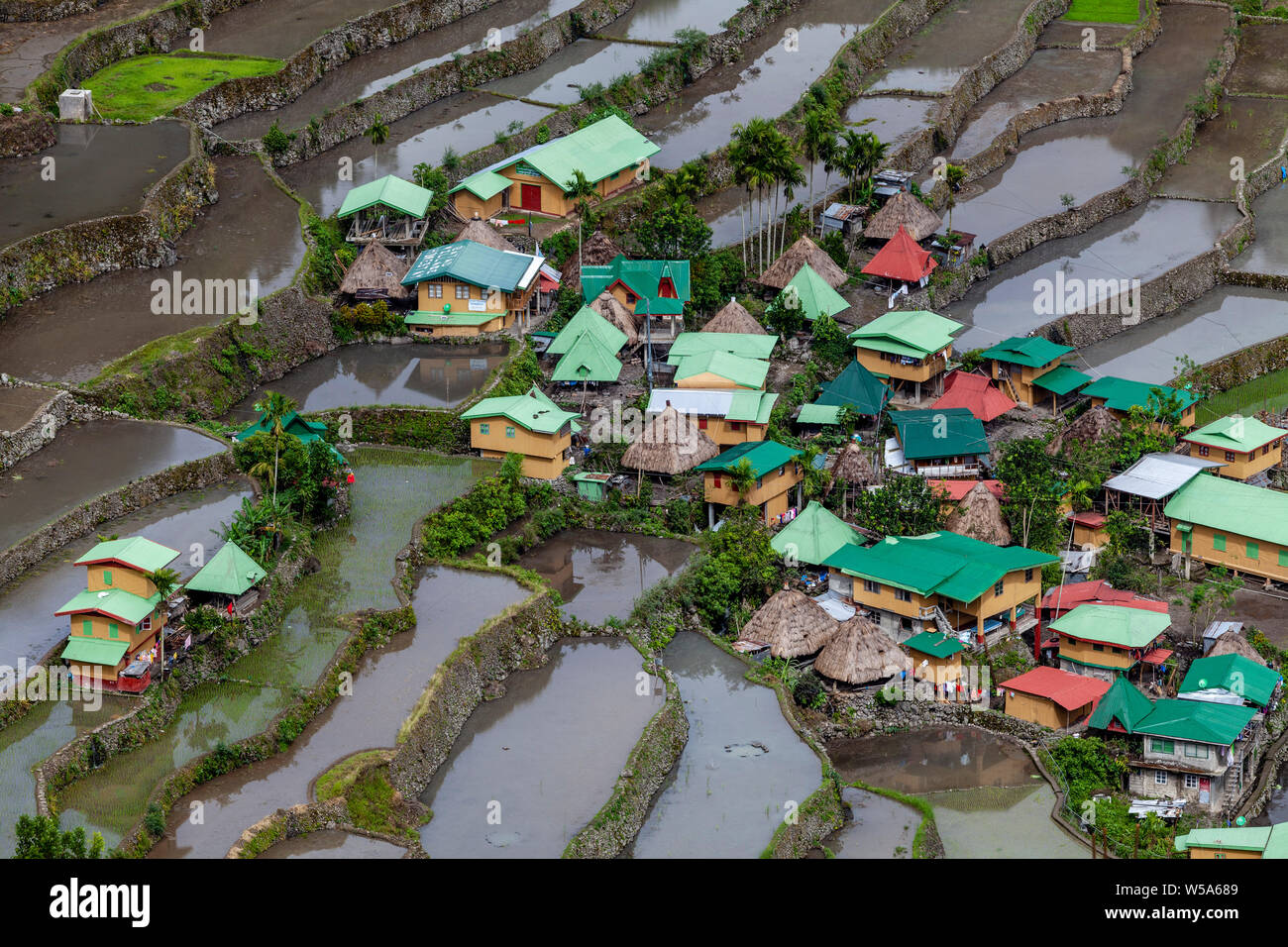 A View Of The Village Of Batad and Surrounding Rice Terraces, Banaue ...