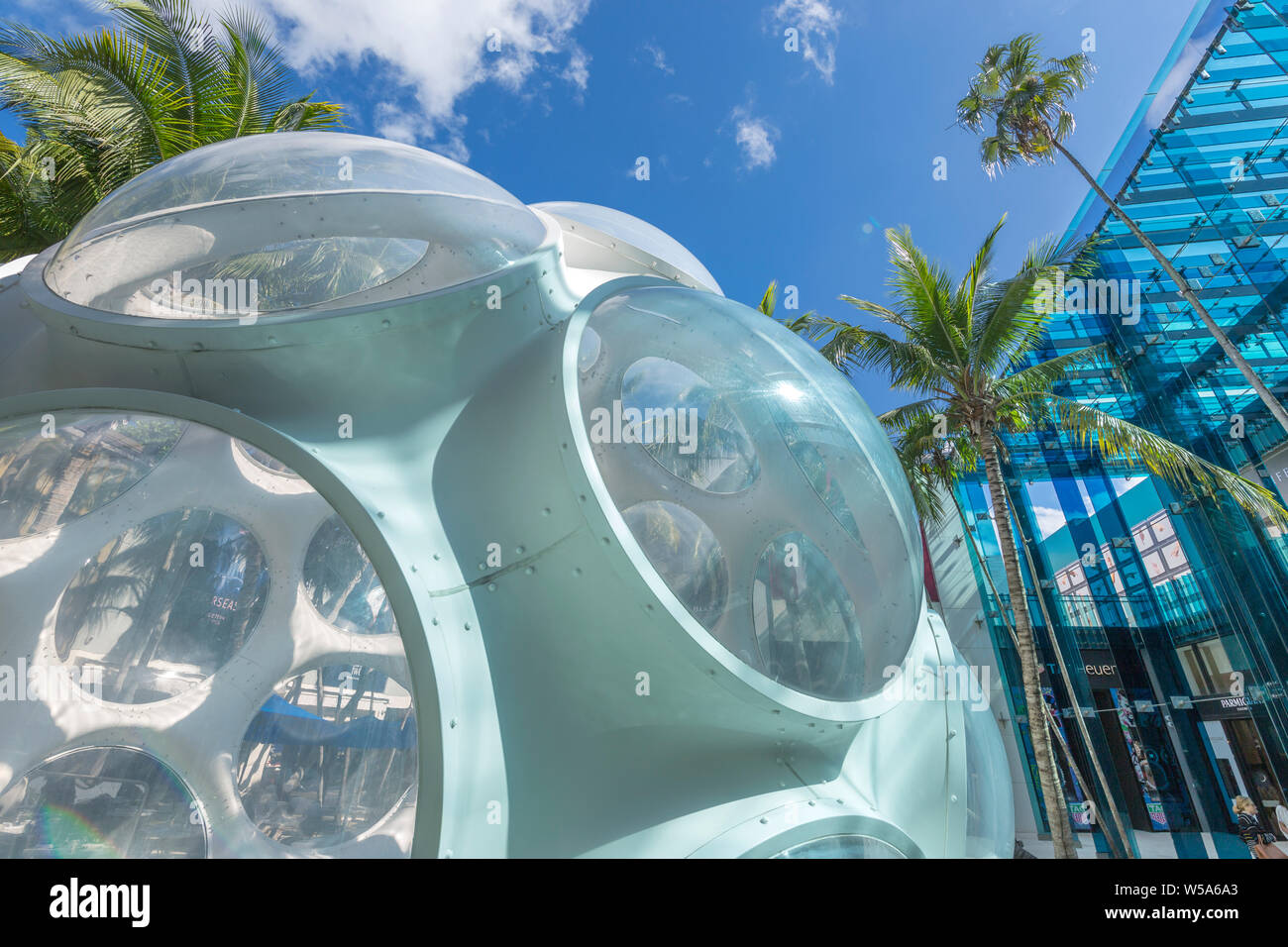 FLY EYE DOME (©BUCKMINSTER FULLER INST 2014) PALM COURT (©SB ARCHITECTS ...