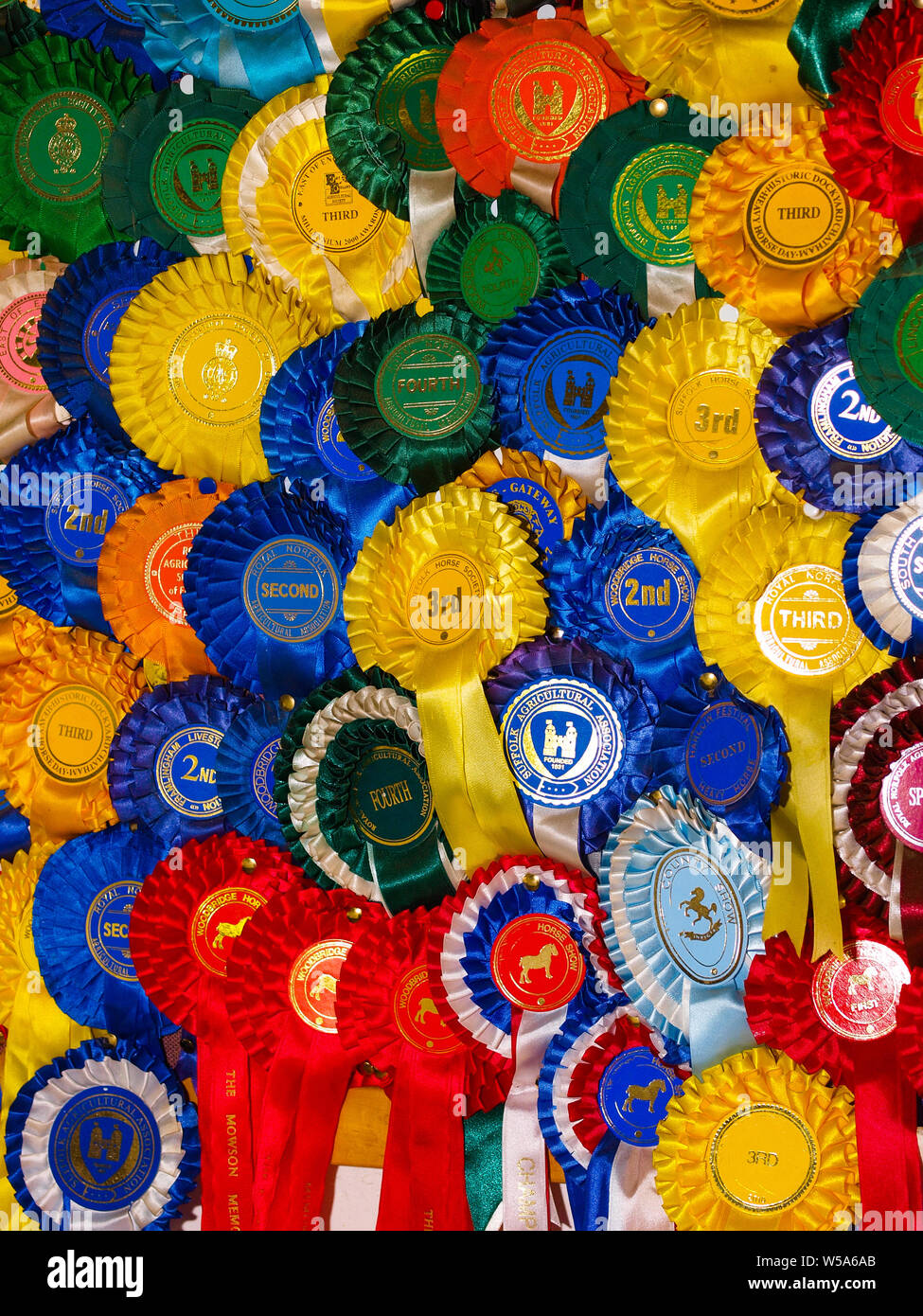 A collection of horse show rosettes Stock Photo - Alamy