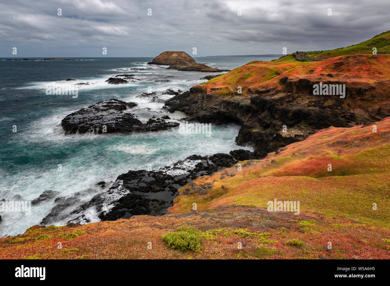 The Nobbies from the boardwalk Phillip Island Stock Photo - Alamy