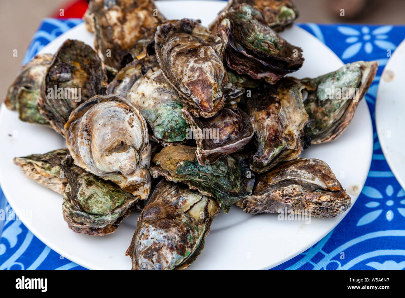 Fresh Seafood Displayed Outside A Beachfront Restaurant, Alona Beach ...
