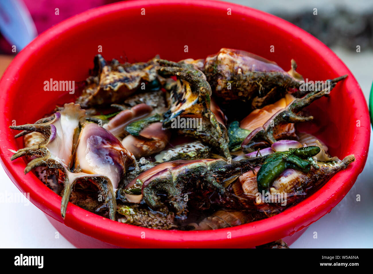 Fresh Seafood Displayed Outside A Beachfront Restaurant, Alona Beach ...