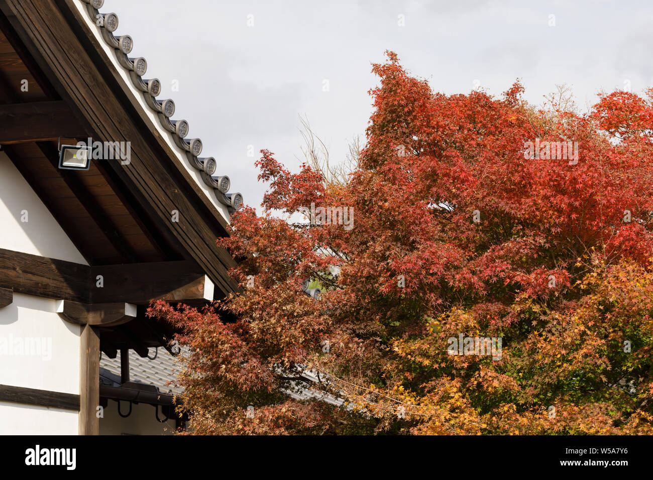 Autumn colours in Tenryu-ji Temple, Kyoto, Japan Stock Photo - Alamy