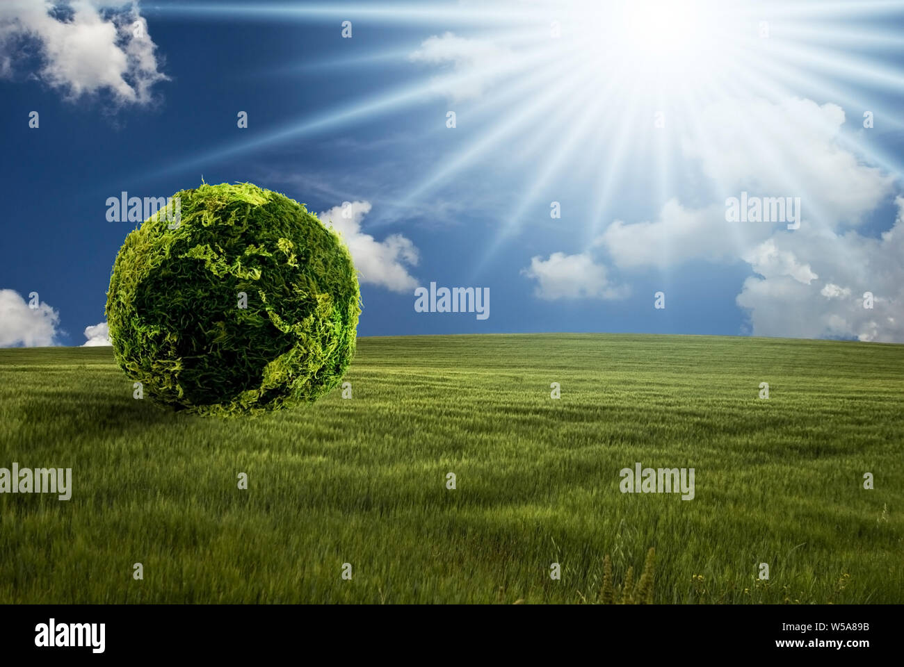 conceptual. Landscape with green lawn, blue sky and the sun shining on ...