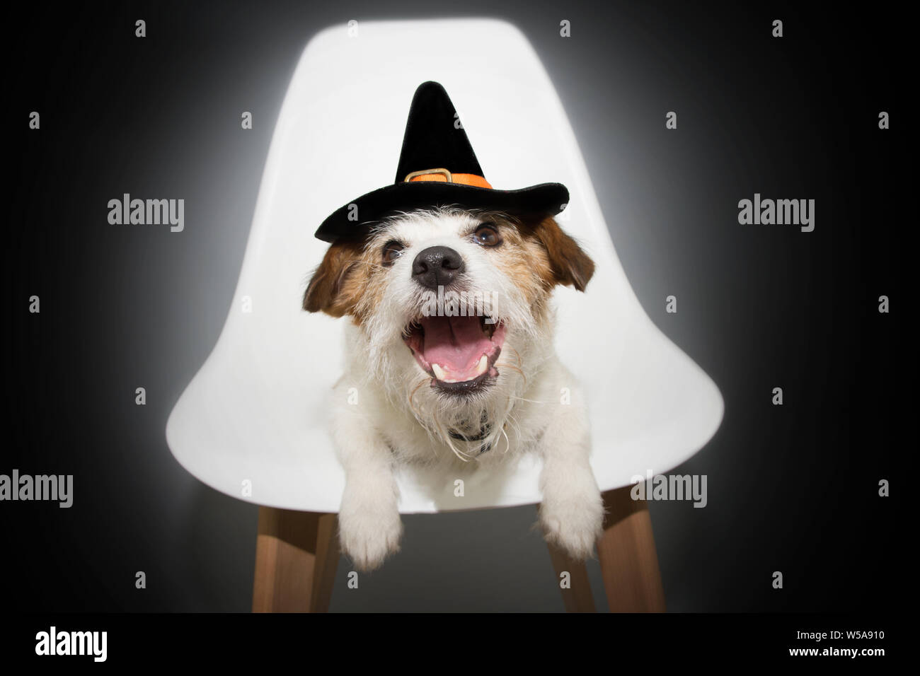 Wizard Chair High Resolution Stock Photography and Images - Alamy