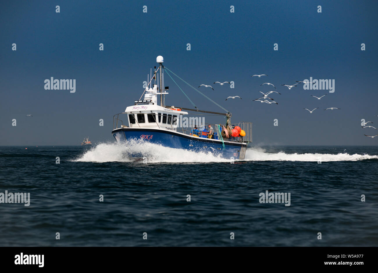 The fishing boat Mary May heading back to her home port of Seahouses ...