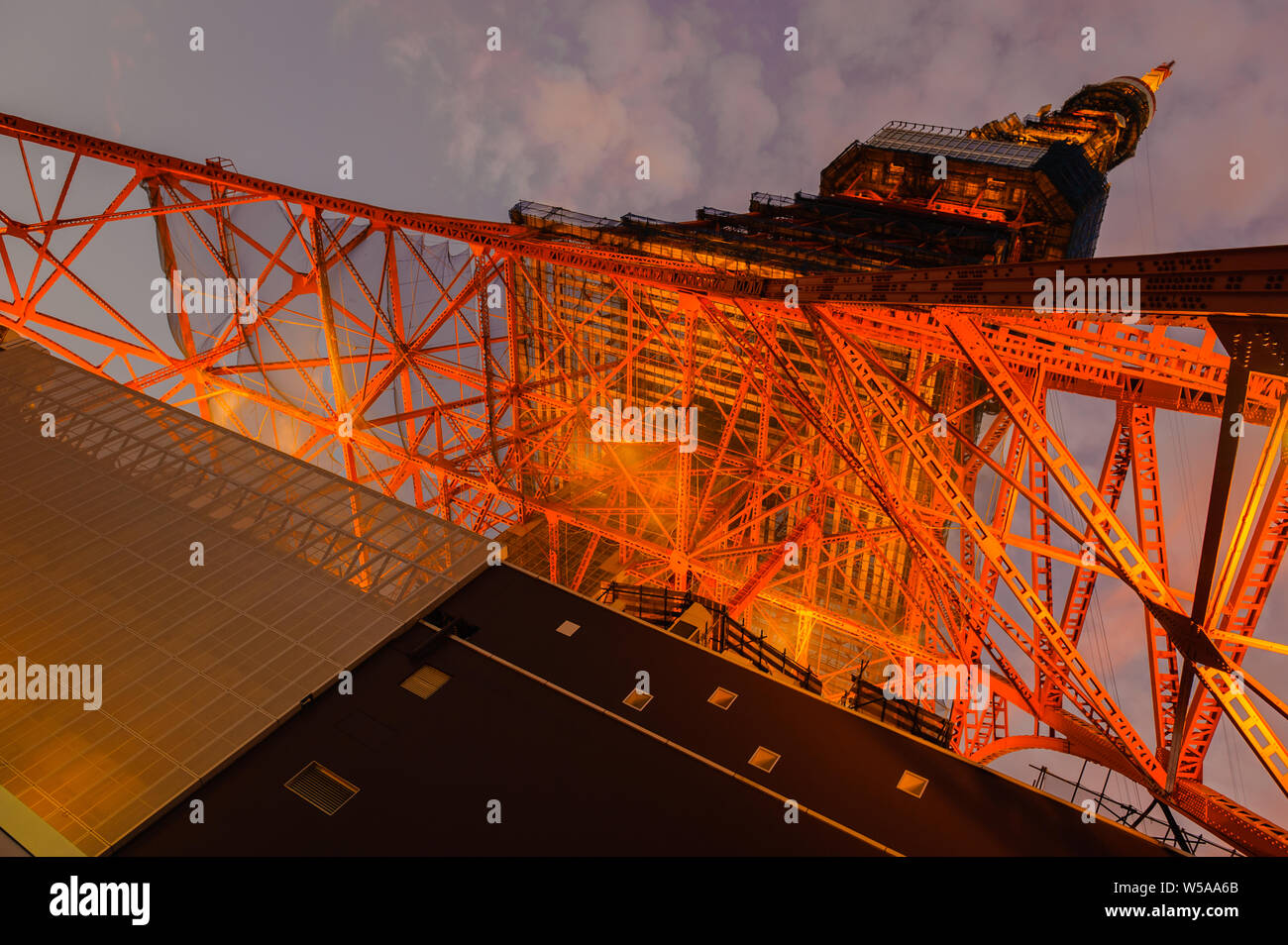 Famous illuminated Tokyo Tower in the heart of the mega city is ...