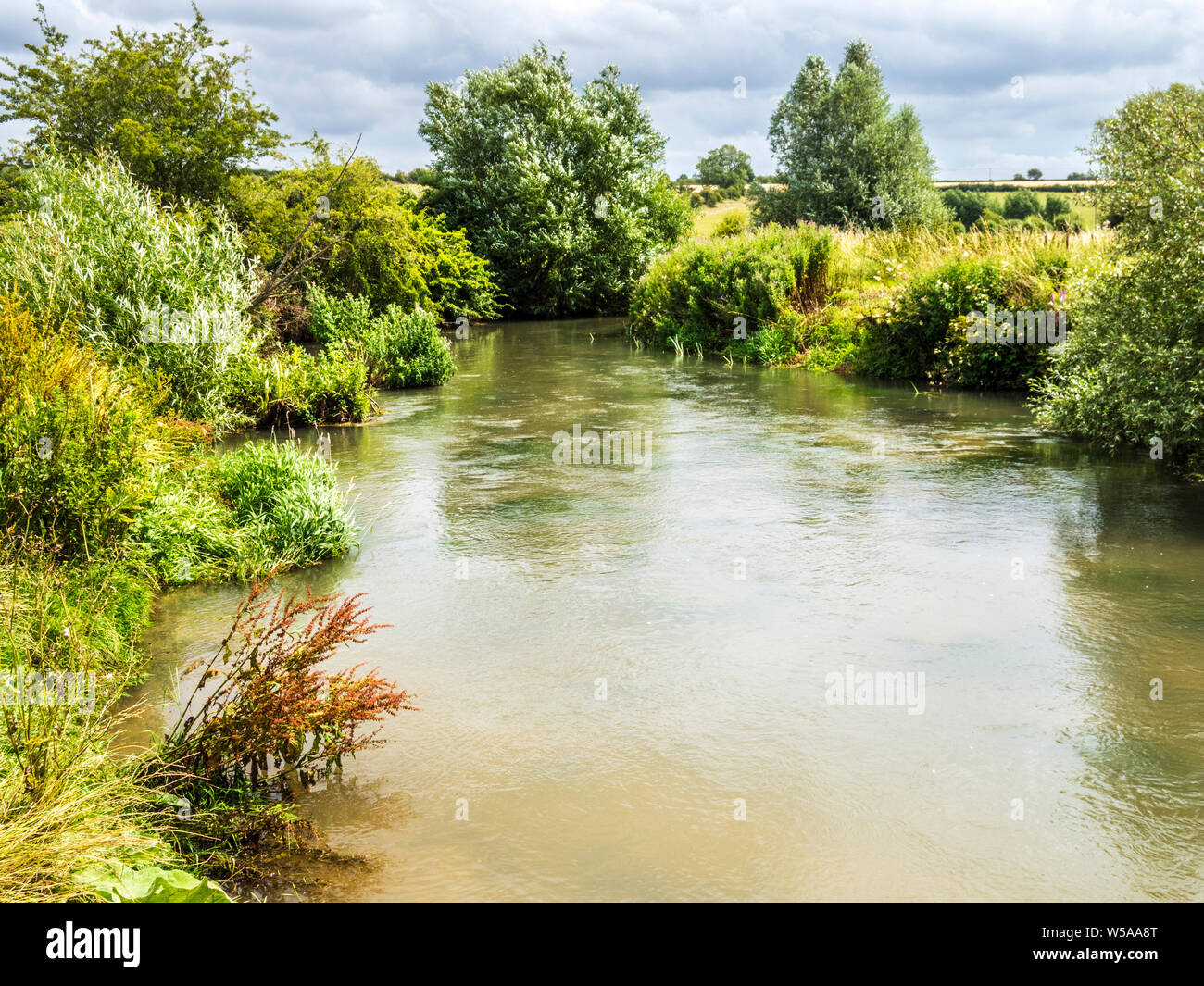 Windrush hi-res stock photography and images - Alamy
