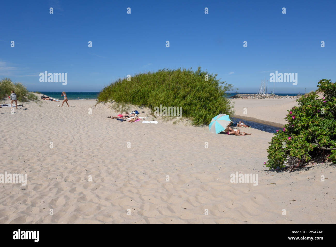 Hornbaek, Denmark - 28 June 2019: people sunbathing on the beach of ...