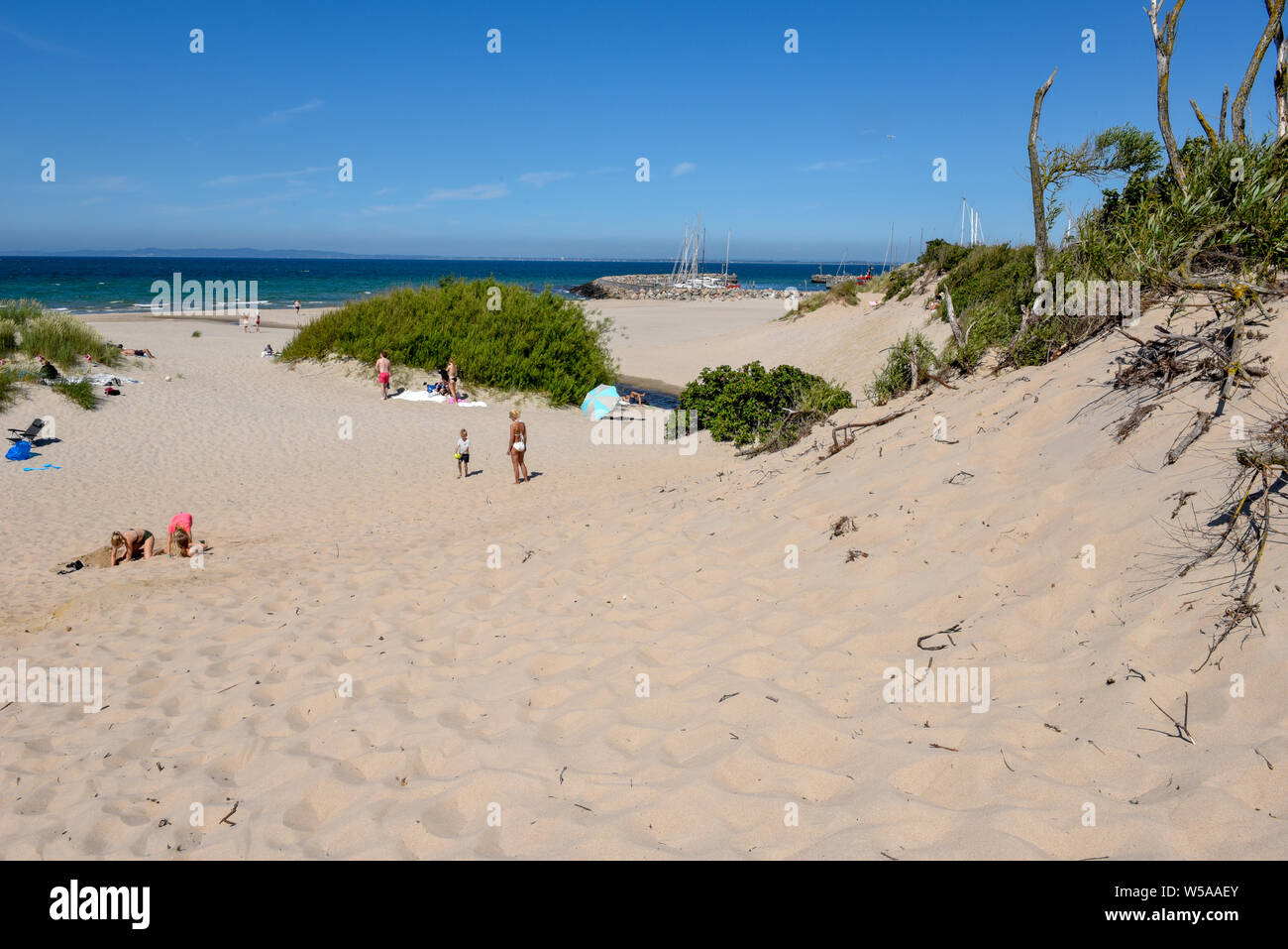 Hornbaek, Denmark - 28 June 2019: people sunbathing on the beach of ...