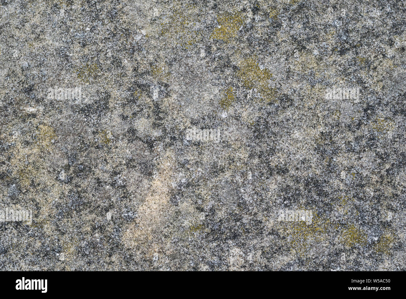 Grey sandstone seamless texture hi-res stock photography and images - Alamy