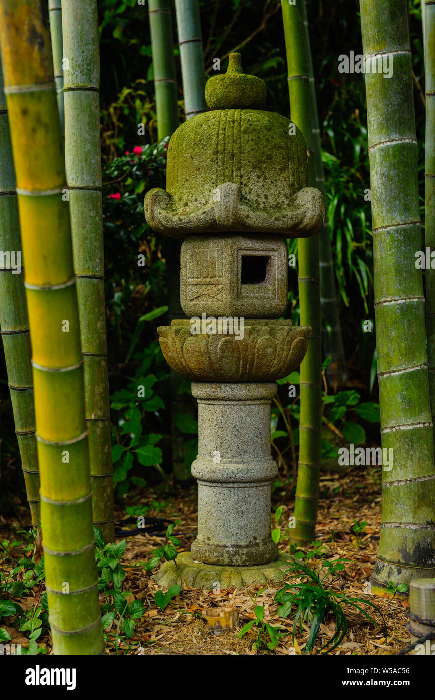 Vertical image of traditional mossy stone latern in bamboo grove ... Vertical image of traditional mossy stone latern in bamboo grove ...