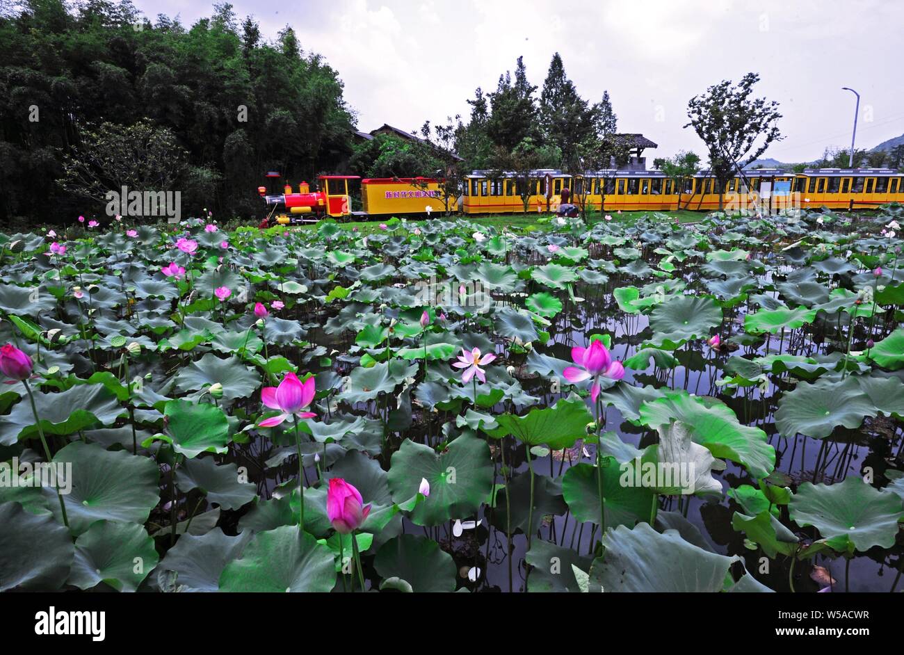 Lujia village hi-res stock photography and images - Alamy