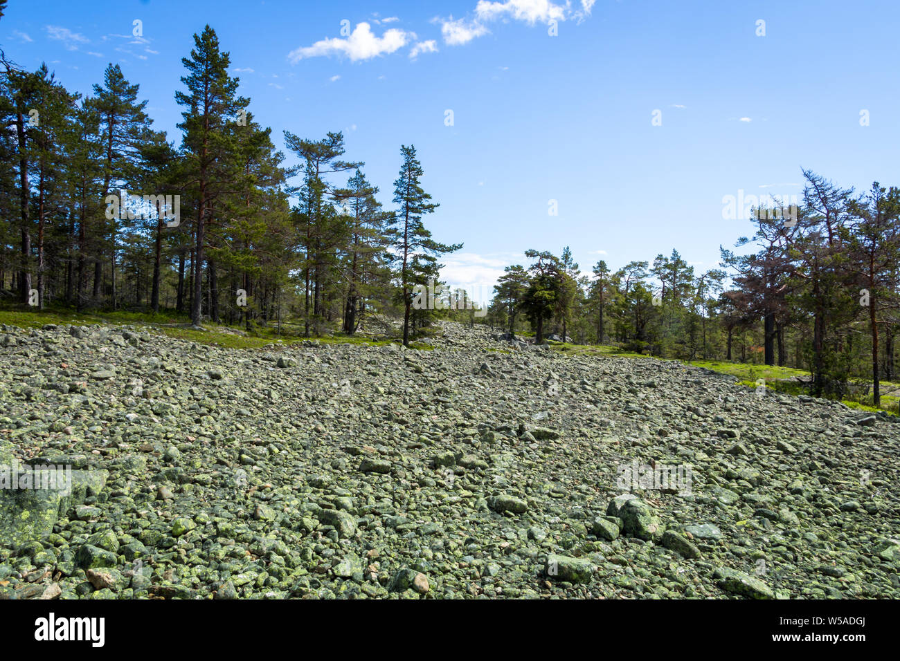 Field with cobbled stones in Sweden, also known as Klappenstenfäll ...