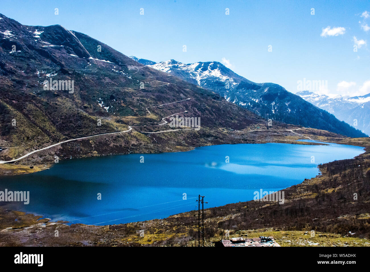 Beautiful elephant hi-res stock photography and images - Alamy