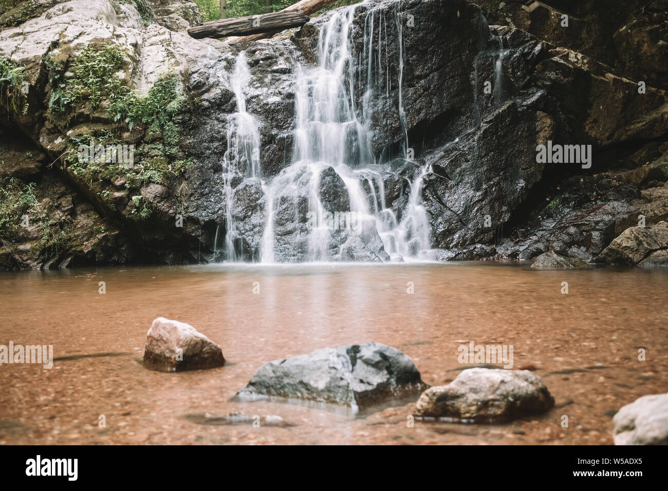 Patapsco valley state park hi-res stock photography and images - Alamy
