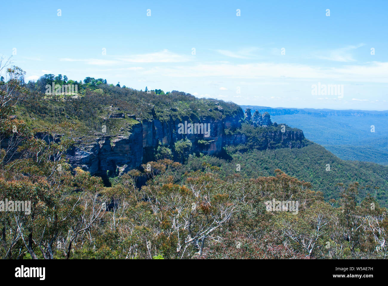 eucalyptus valley between rocky ranges at blue mountains Stock Photo ...