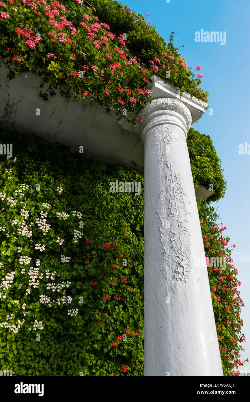 Wall overgrown flowers hi-res stock photography and images - Alamy
