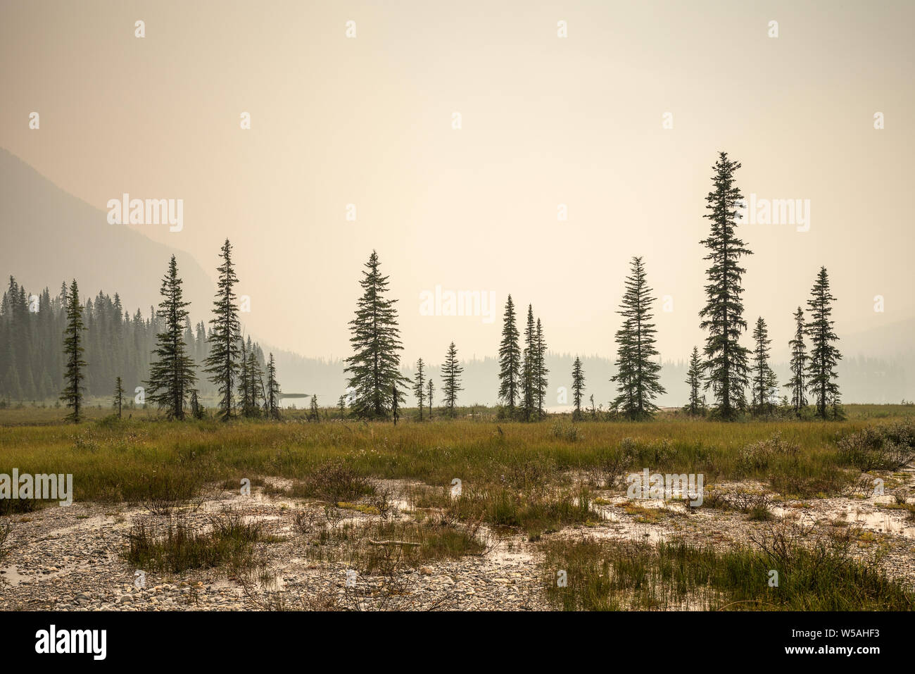 Forest Fire Smoke at Emerald Lake in Yoho National Park, British ...