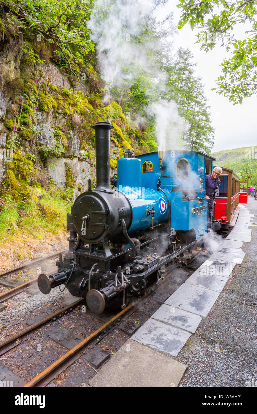 The 1918 0-4-0WT steam loco 'Douglas' at Nant Gwernol station on the ...