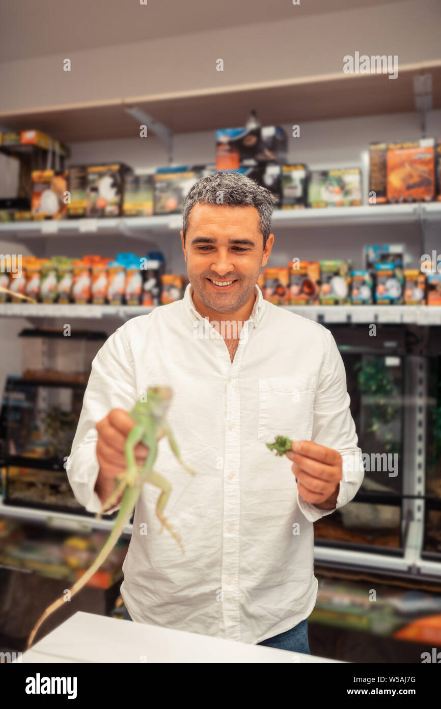 Lizard pet shop hi-res stock photography and images - Alamy